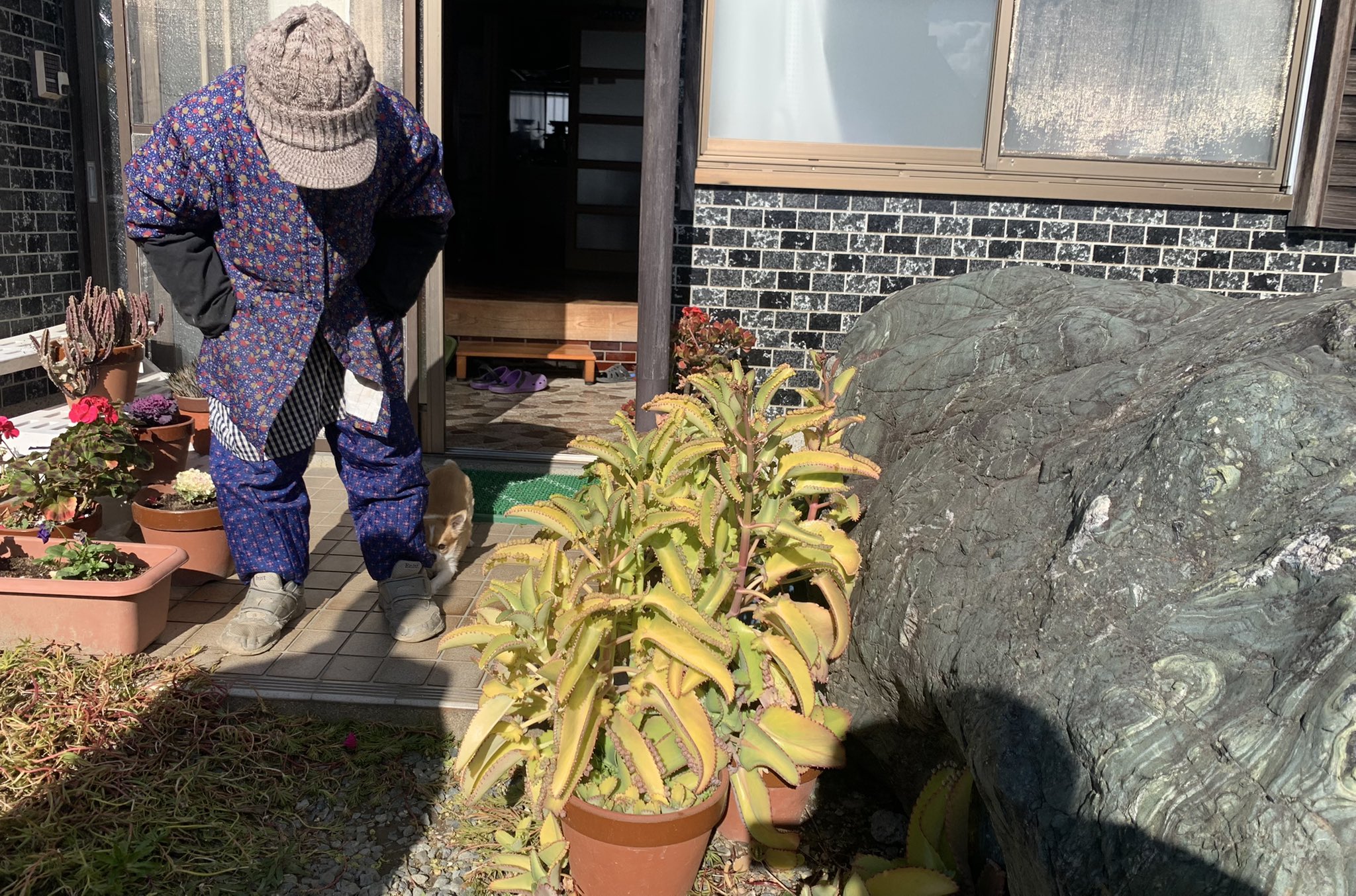 (32) on Twitter: "https://t.co/eWOGPLRJ3H" / Twitter