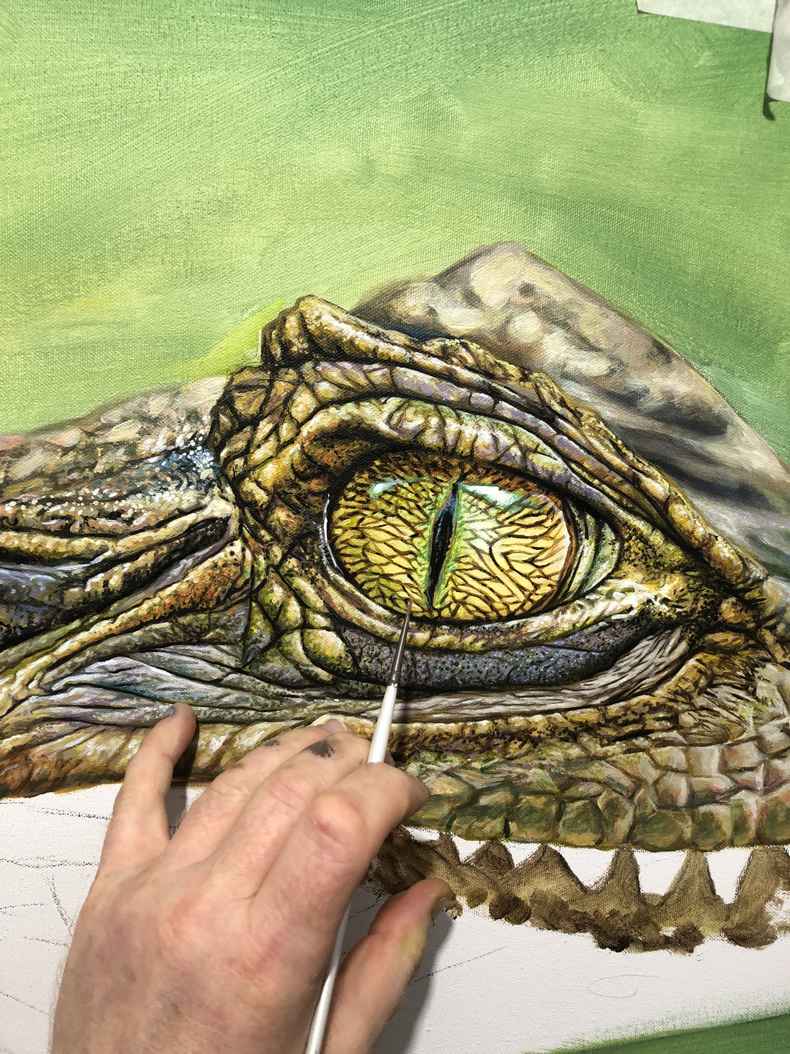 Crocodile Painting