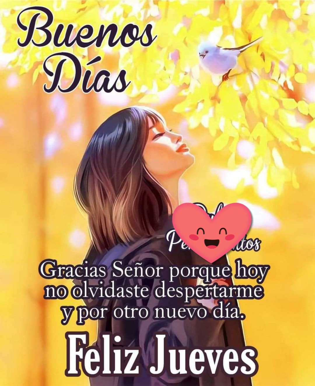 Imagenes De Los Buenos Dias Feliz Jueves FELIZ JUEVES 🌹BUENOS DÍAS