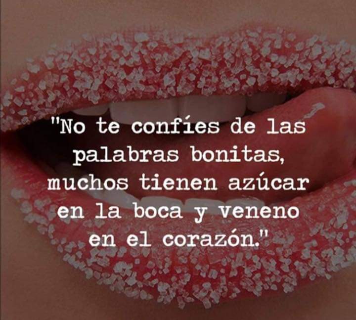 Celina Rocha (@CelinaRochaGonz) | Twitter