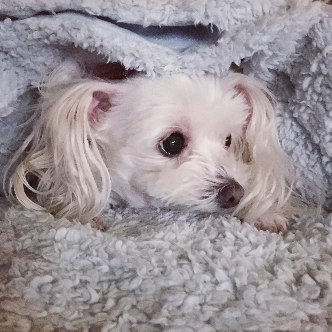 Bina_melody⁷ (@Sabina_CLl) | Twitter