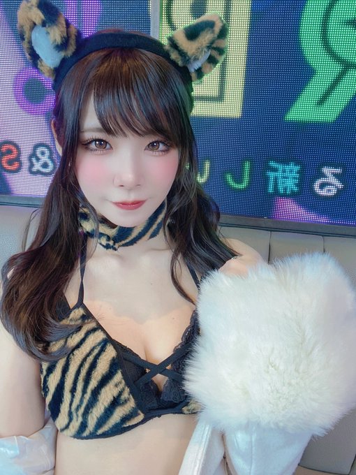 Twoucan - 猫乃ここ (@cococo_neko)