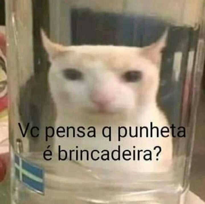 lino (@mercurioLino) | Twitter