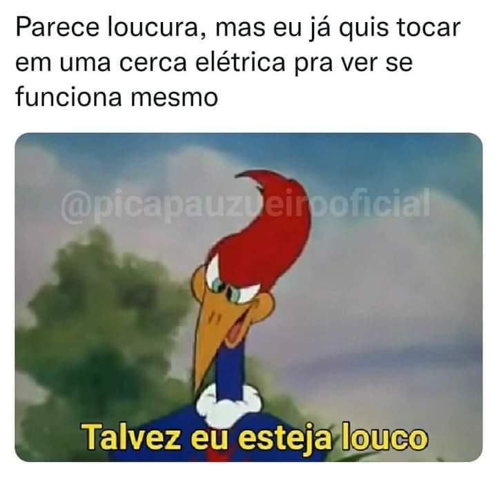 Meme Ficando Louco