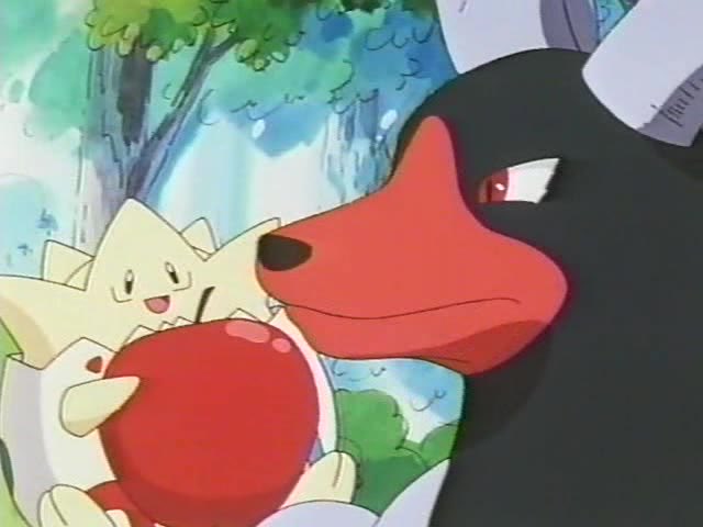 Houndoom And Togepi Gif