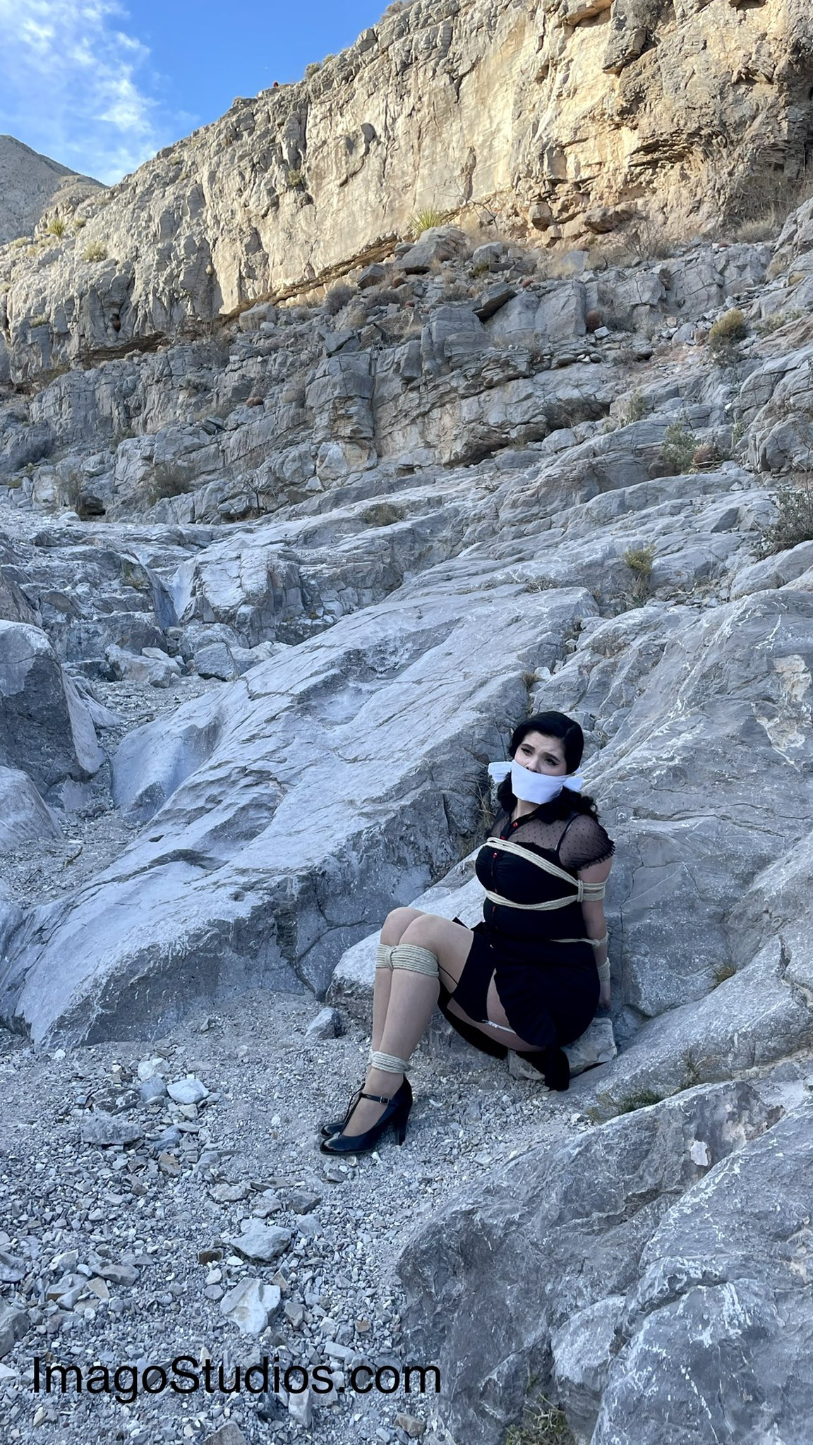 Imago Studios on Twitter: "What’s going on with Daisy Daniels @abby_dandy? Has she been ...