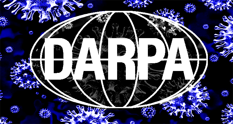 Darpa Logo Black And White
