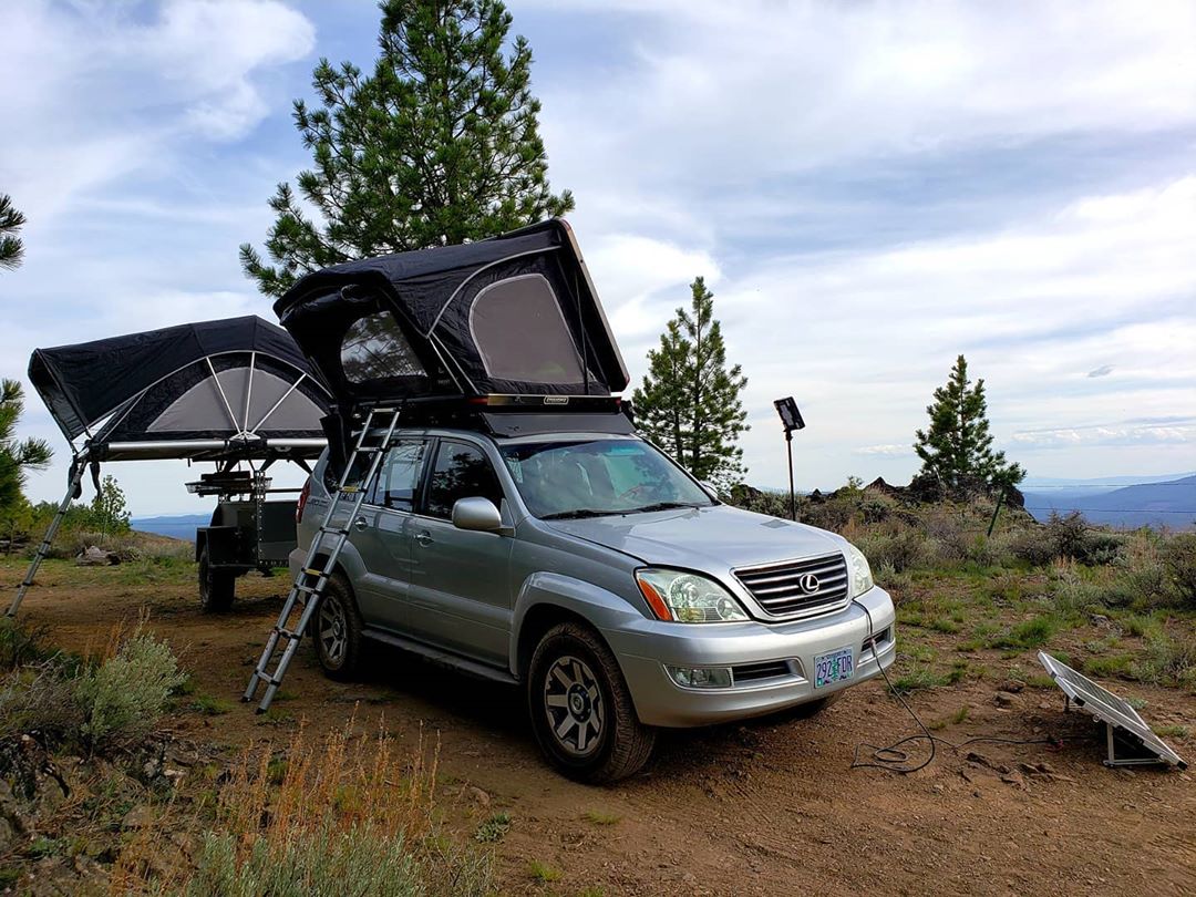 Joy Zhuo (@Joy_Wildland) | Twitter