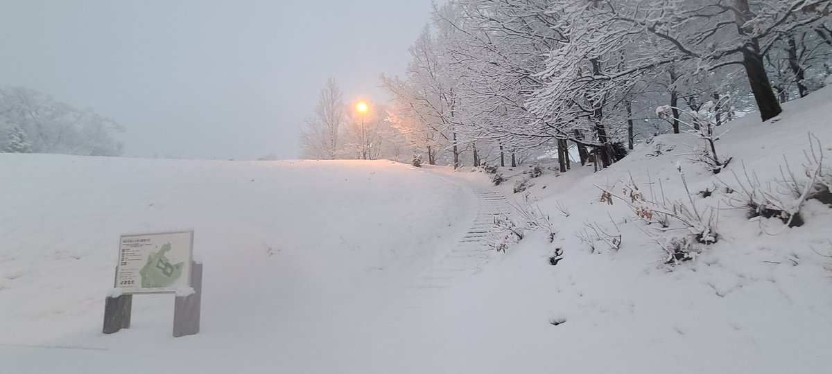 しまえりな🕊🌼 On Twitter そろそろ雪が恋しいんですが、あと1週間でこうなるかな?