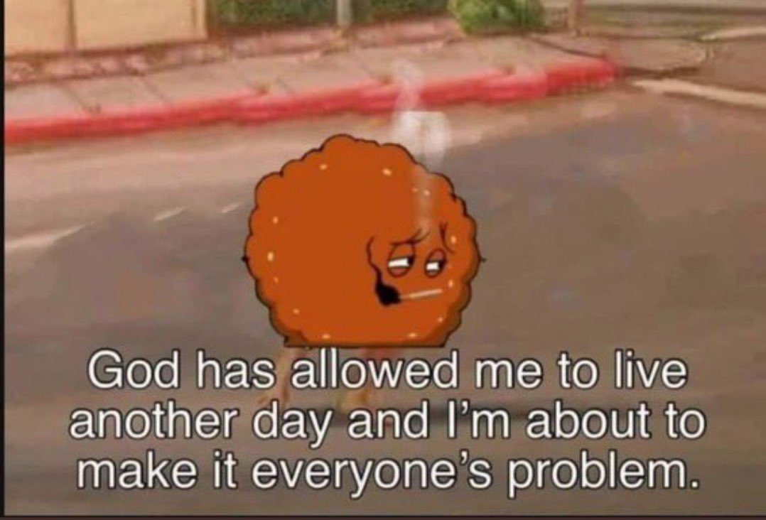 Meatwad Quotes