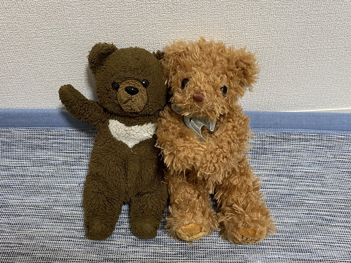 たろう (@taro_moonbear) | Twitter