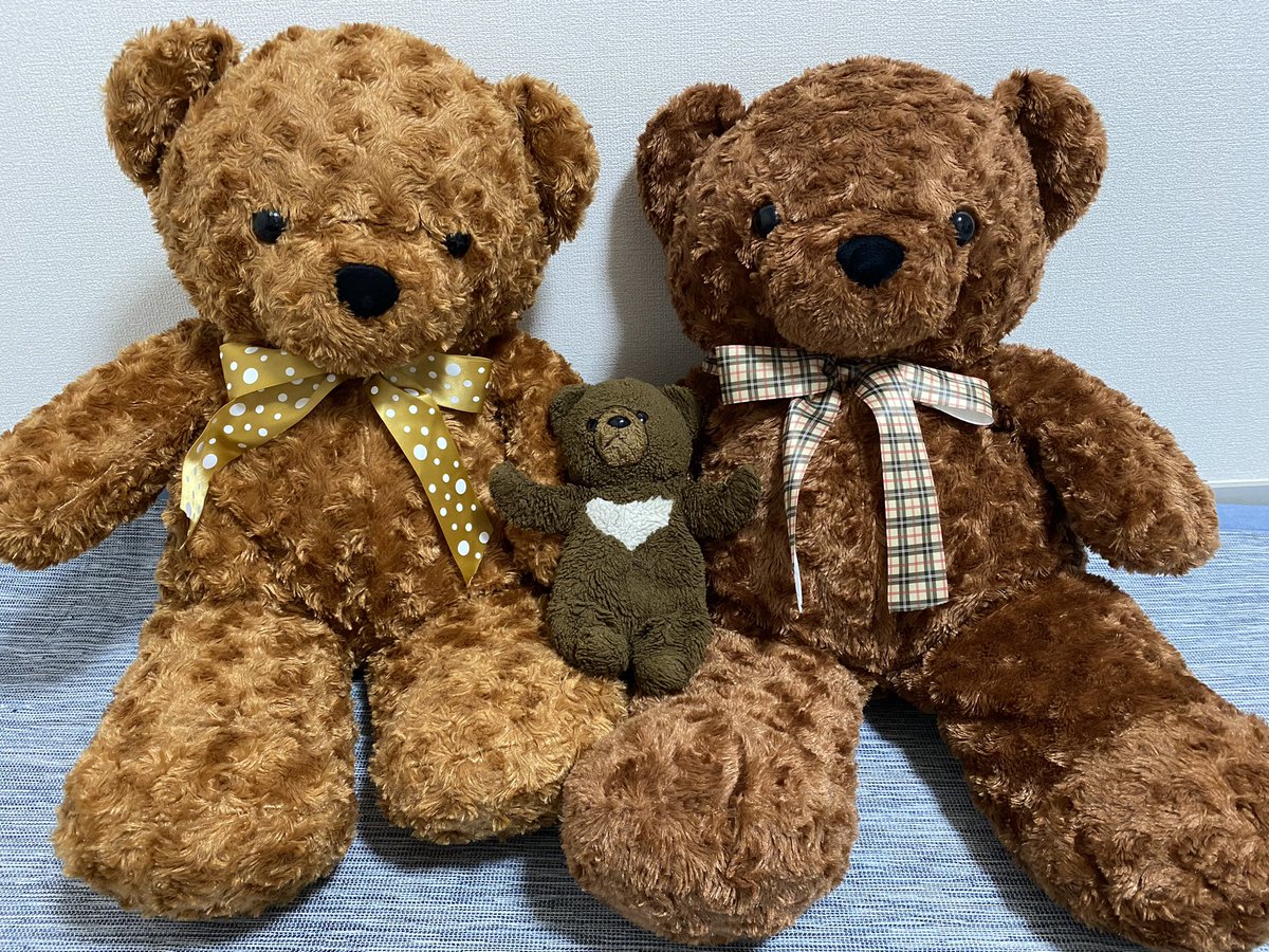 たろう (@taro_moonbear) | Twitter