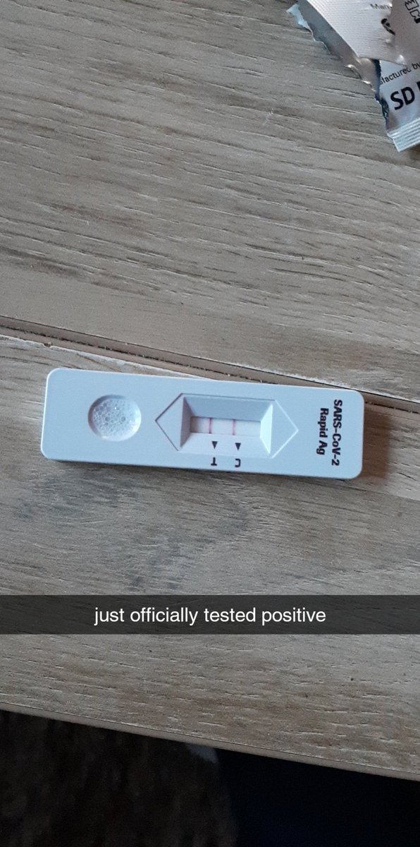 NV6 (@NotSquel) | Twitter