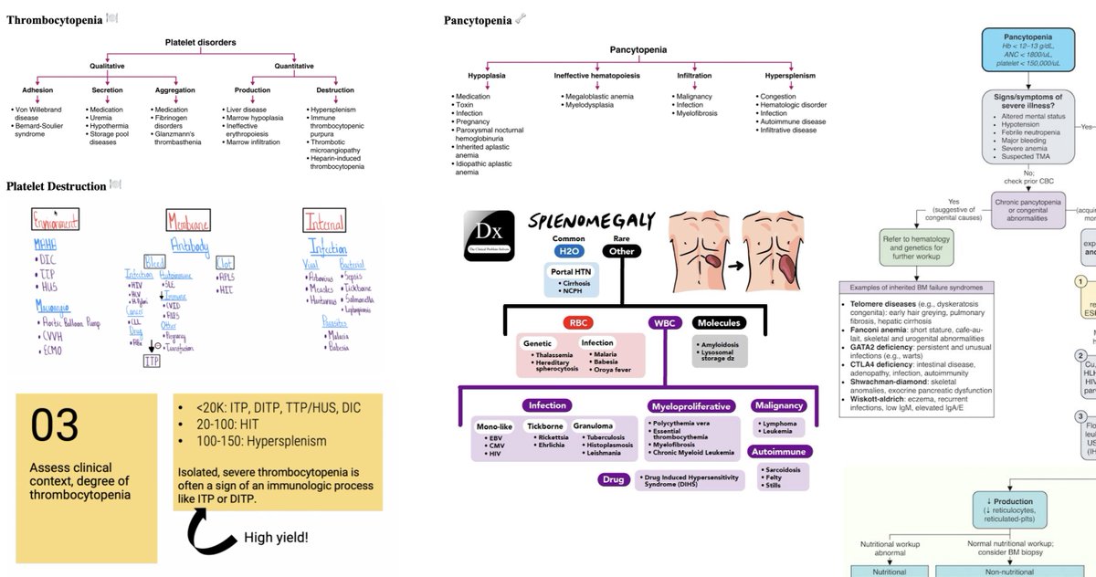 Approach to Cytopenias, frameworks from: @AndreMansoor @MatthewHoMD ...
