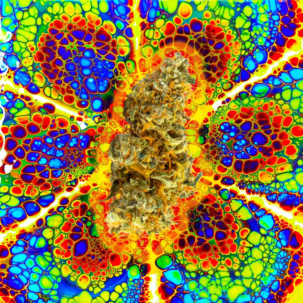 NFT wealthy (@nft_wealthy) | Twitter