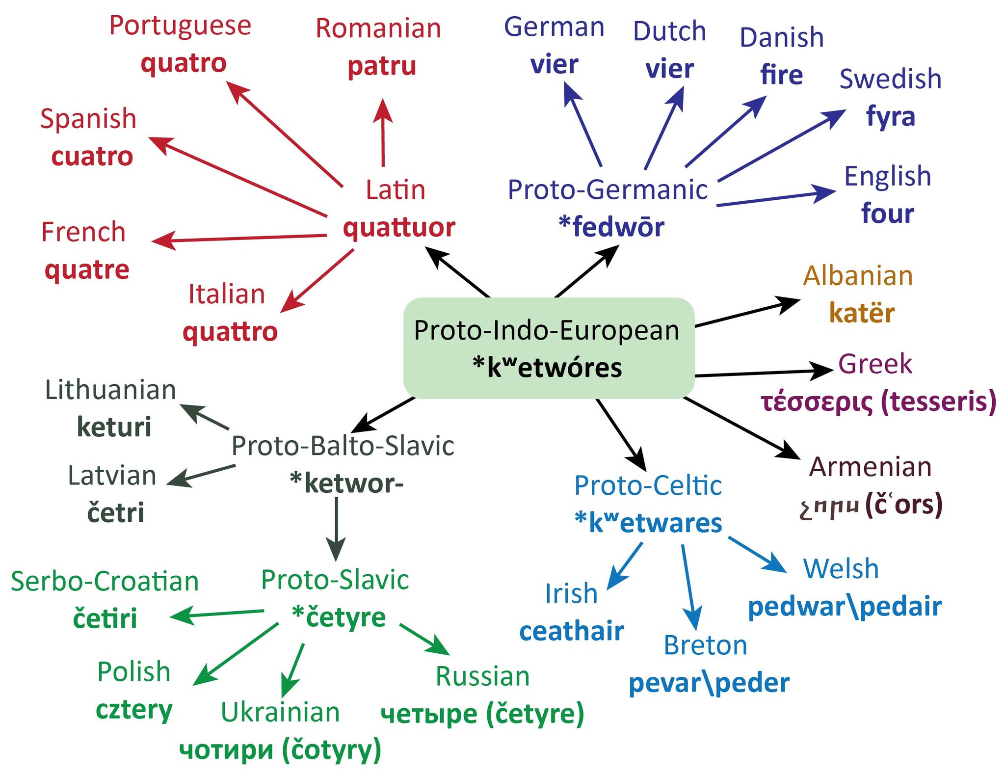 Proto Indo European Words The English And Persian Words For "brother"
