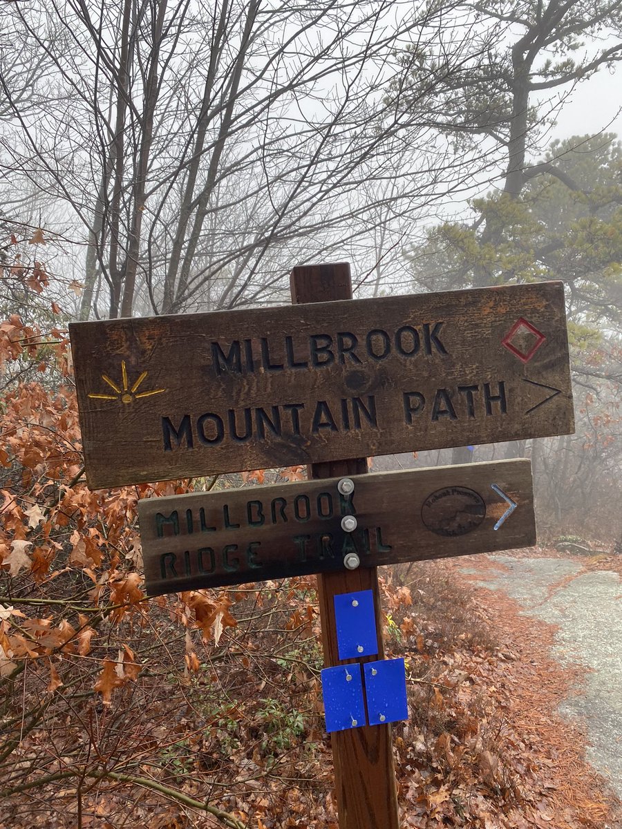 Talha Jubair Talha Jubair Twitter