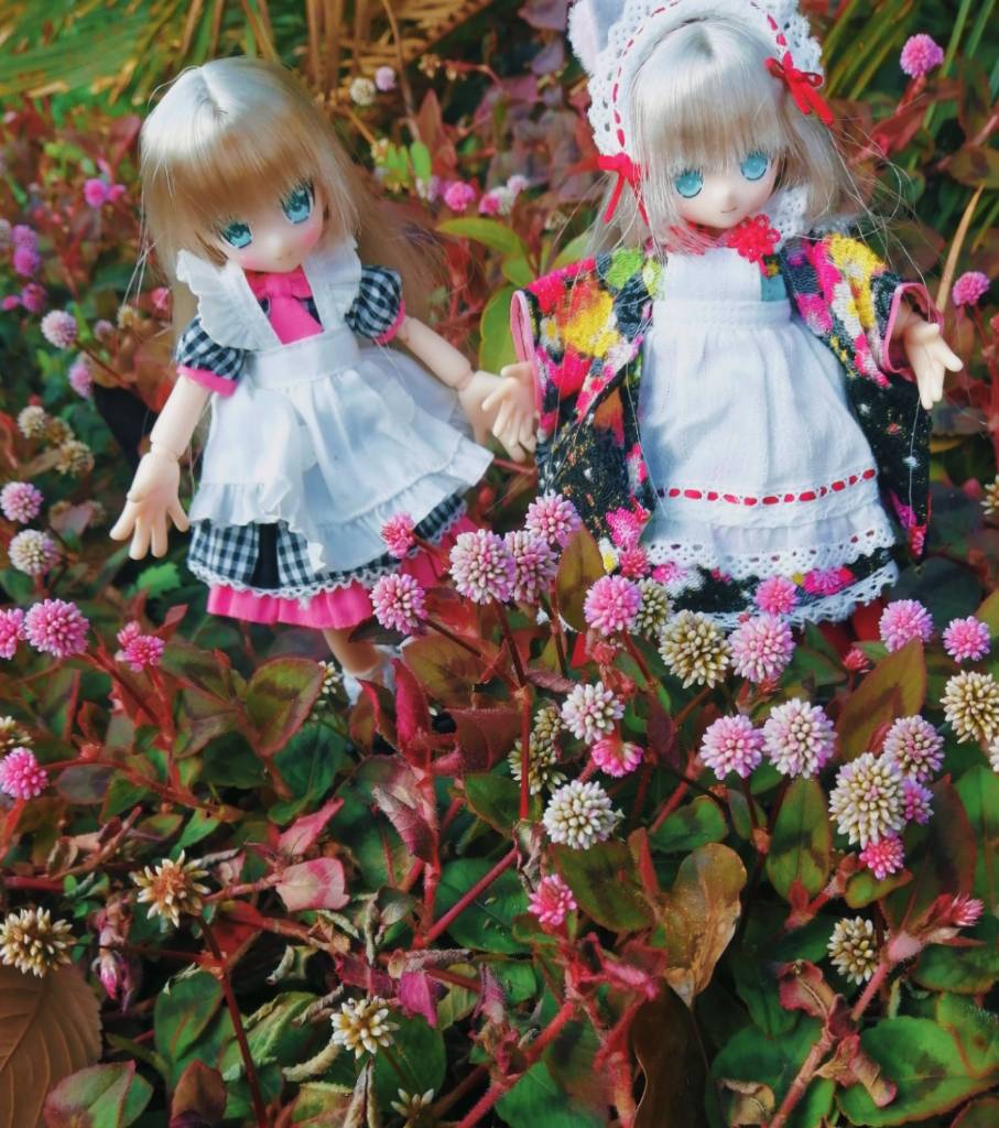🧹いるす🧹 (@irus_Doll) さんのモデル作品まとめ (17 件) - Twoucan