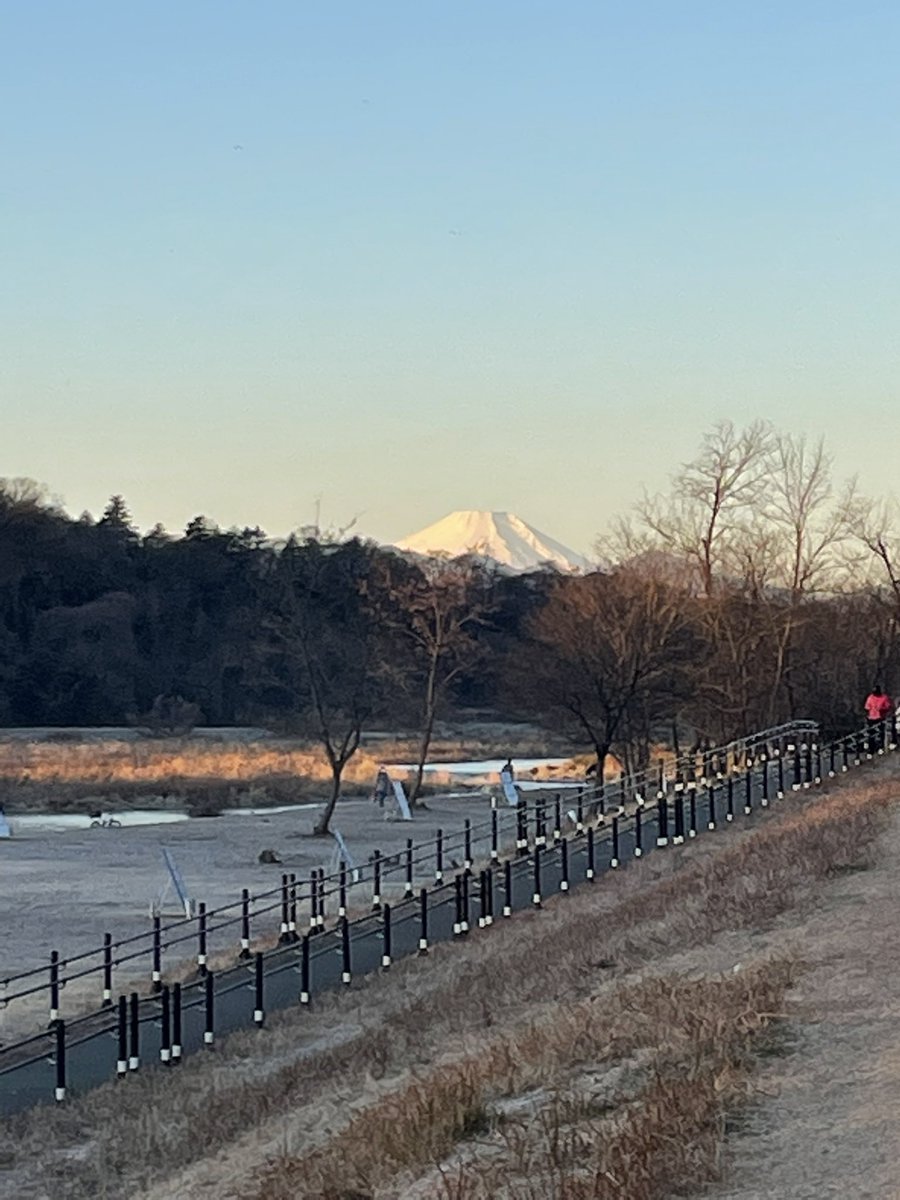 シンプリーフ izm(@simpleaf) - Twilog