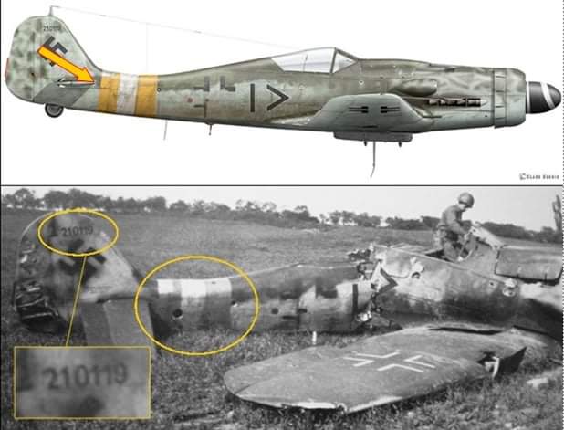 Fw 190D-9 wing upper surface colours - Aircraft WWII - Britmodeller.com