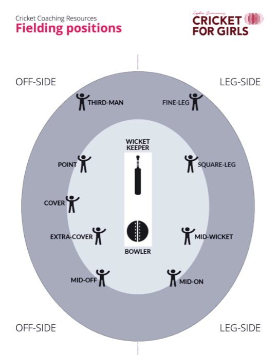 Cricket Field Positions