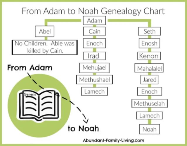 Noah From The Bible Family Tree