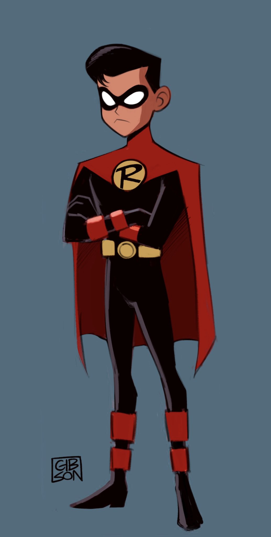 Robin Tim Drake Animated Series