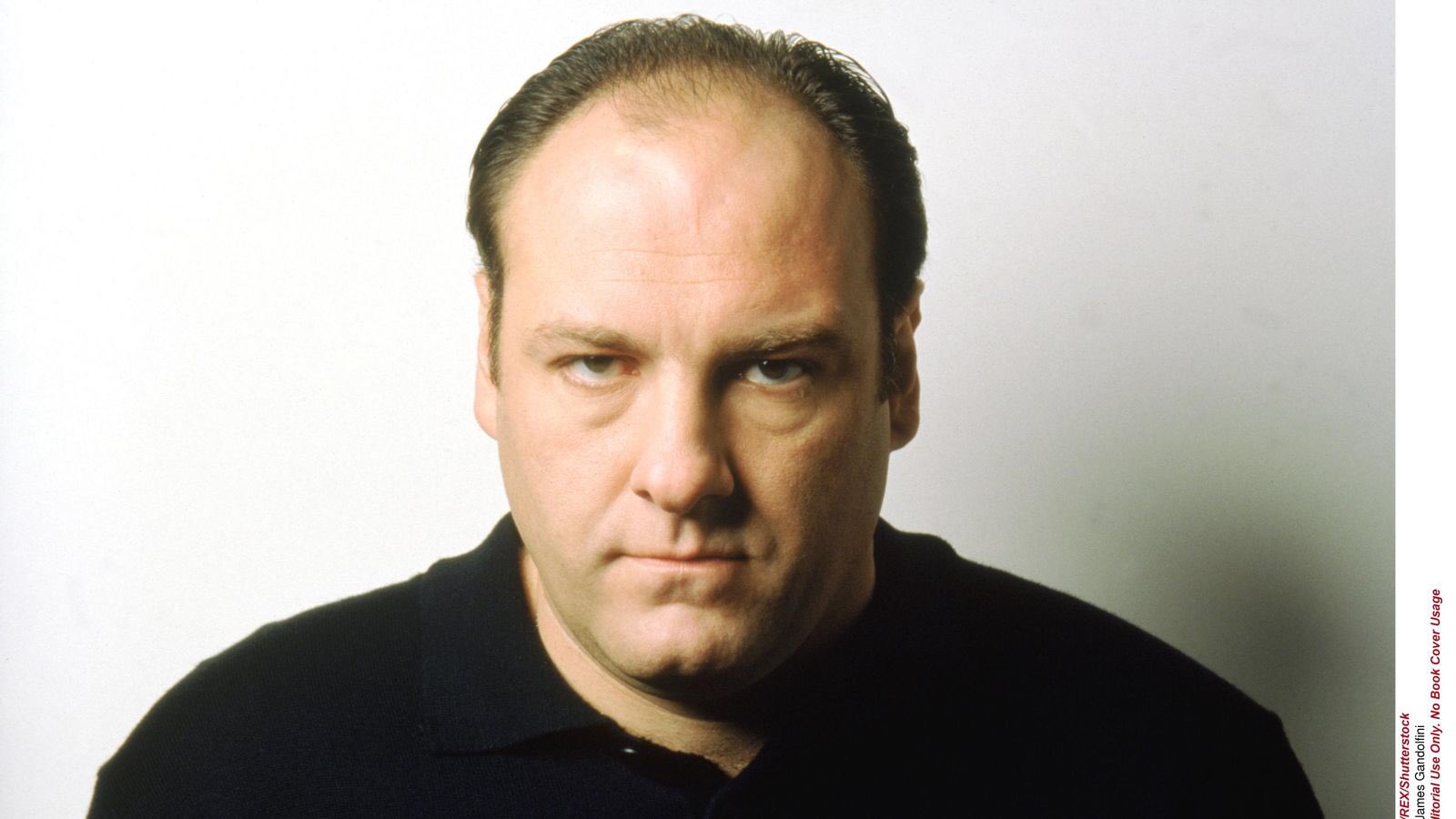 Tony Soprano Angry