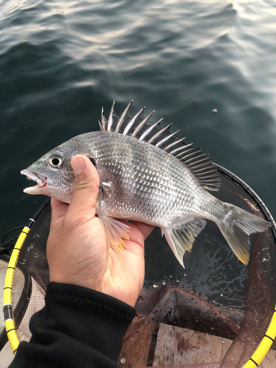 伊尾木 タクマ (@cikun_RYOMA) | Twitter