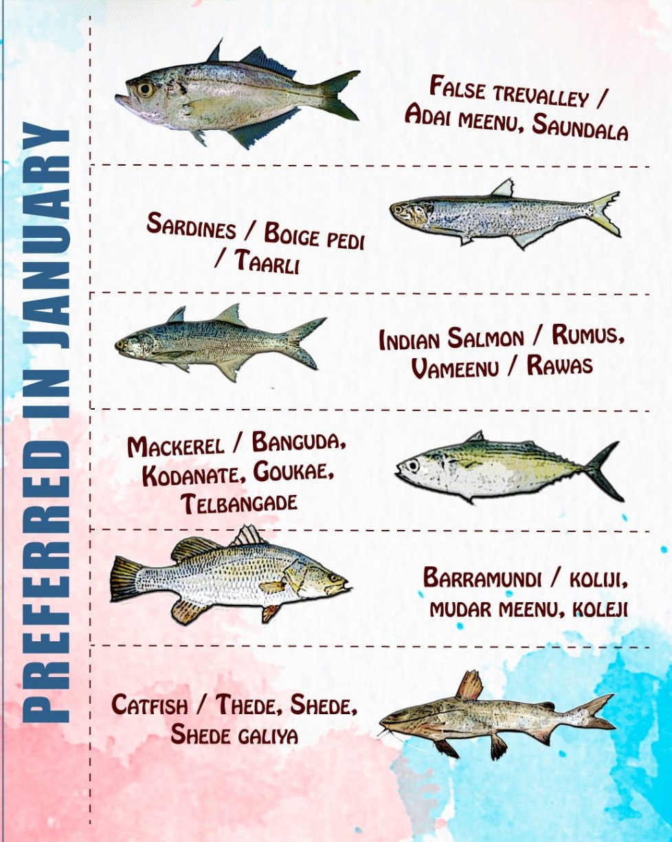 Different Types Of Indian Fishes