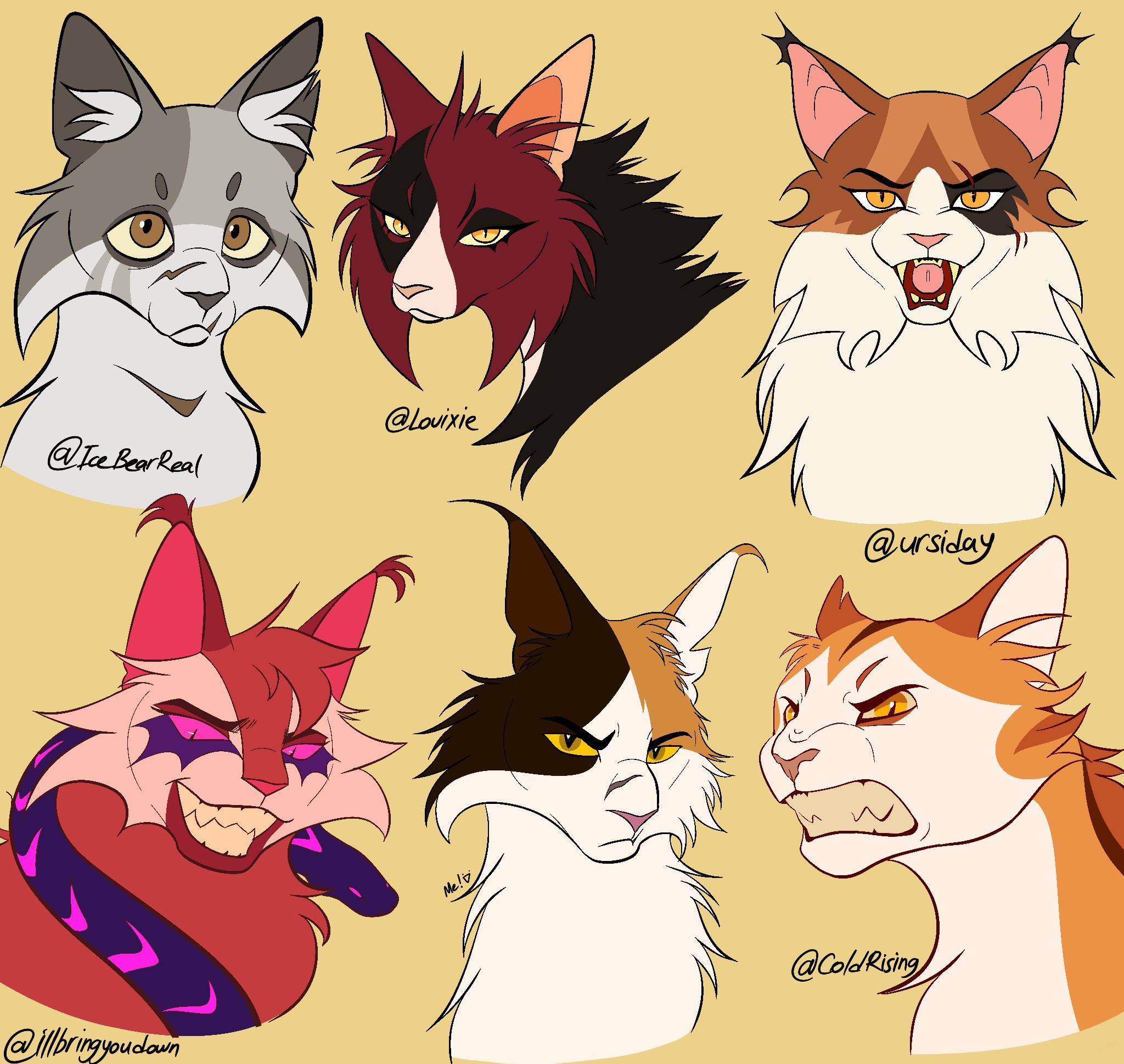 Mapleshade Warriors