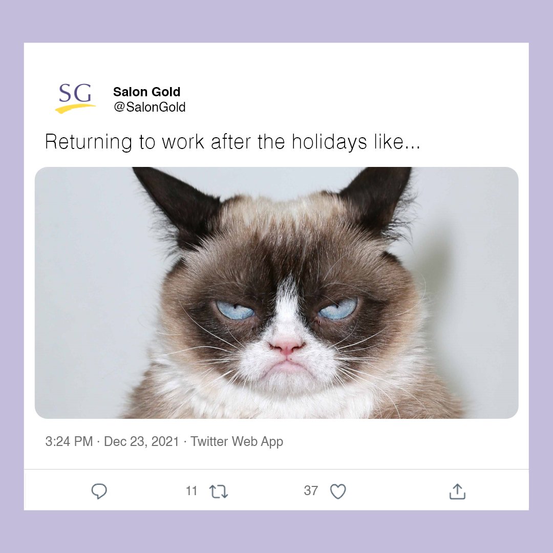 Good Work Grumpy Cat Memes Here Are The Best Grumpy Cat Memes...