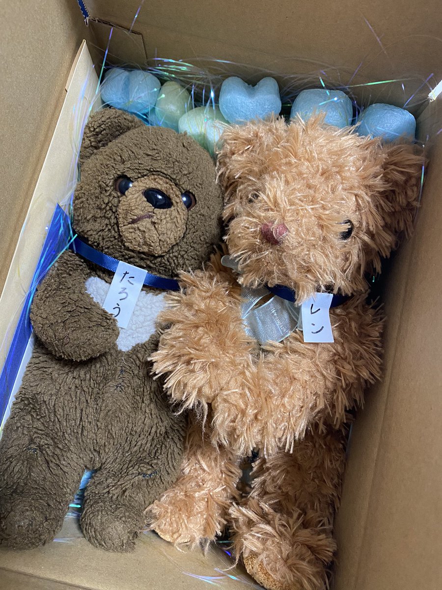 たろう (@taro_moonbear) | Twitter