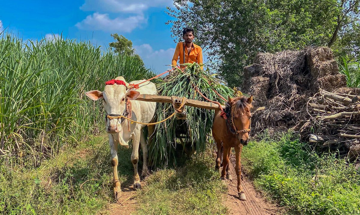 Rahul Machigar (@machigar_rahul) | Twitter