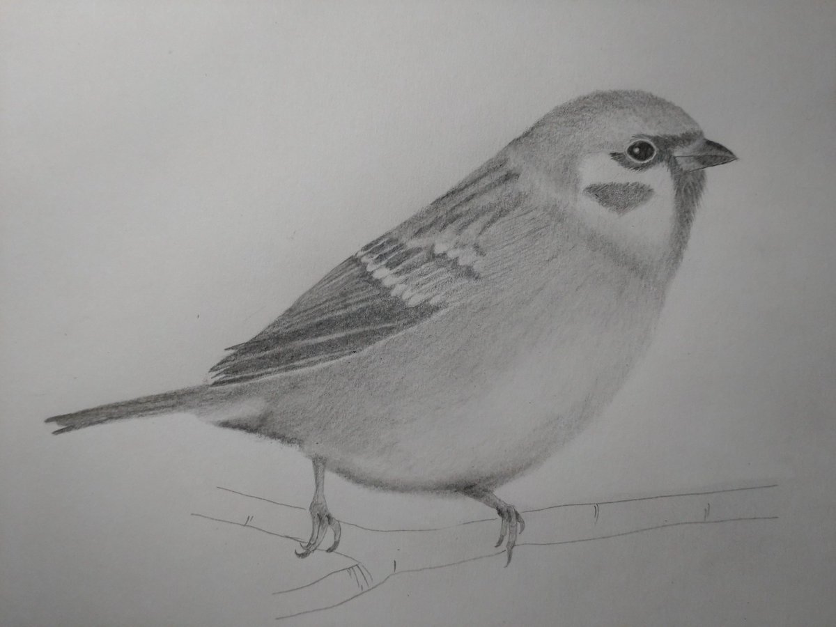 Chen Yu-Chi (@Chen_Yu_Chi) | Twitter