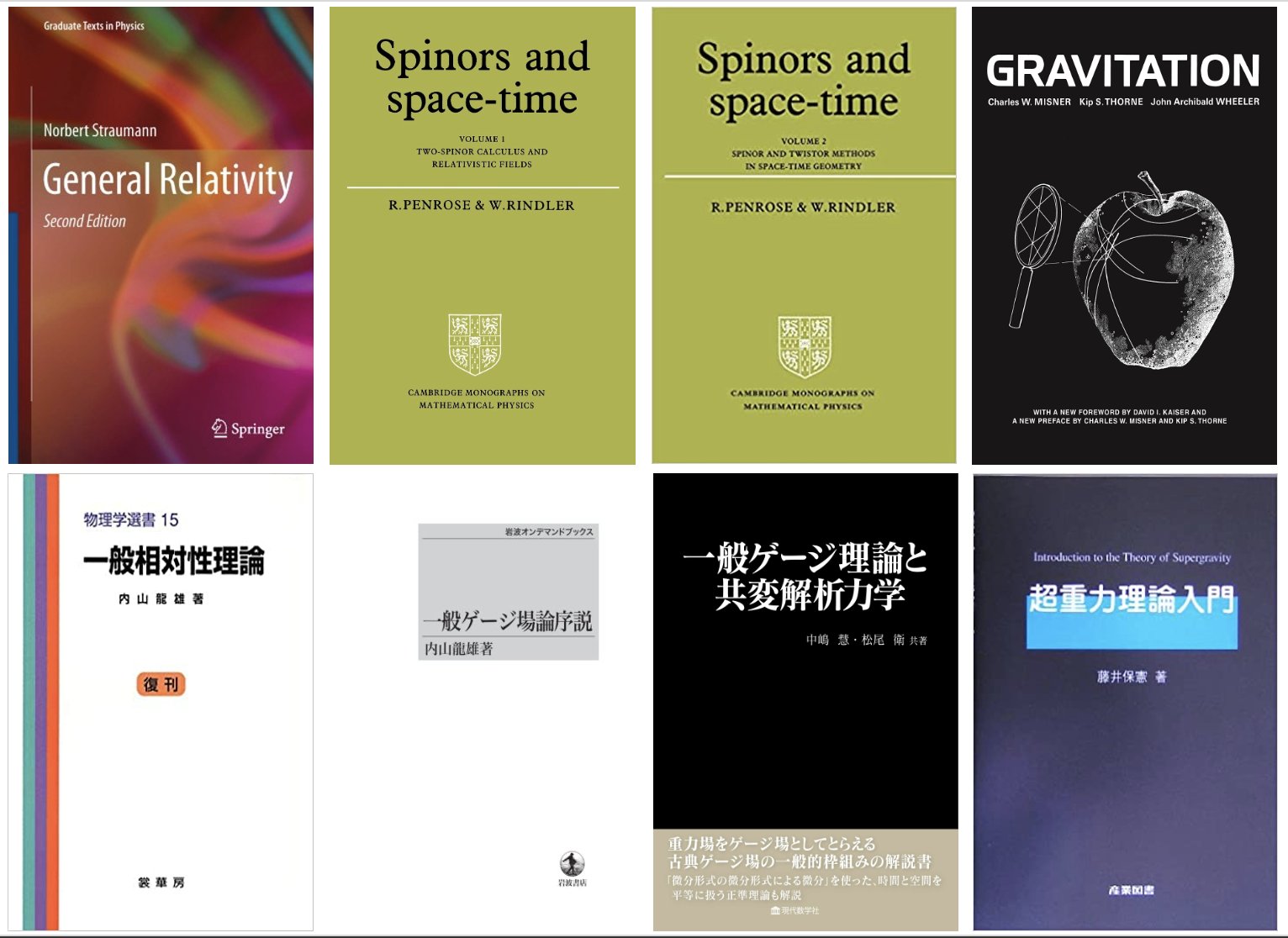 Yusuke Hayashi 林祐輔 on Twitter: "一般相対性理論関連で自分が今面白そうだと思っているのはこの8冊． https://t.co/yvkp6Ngw65 https ...