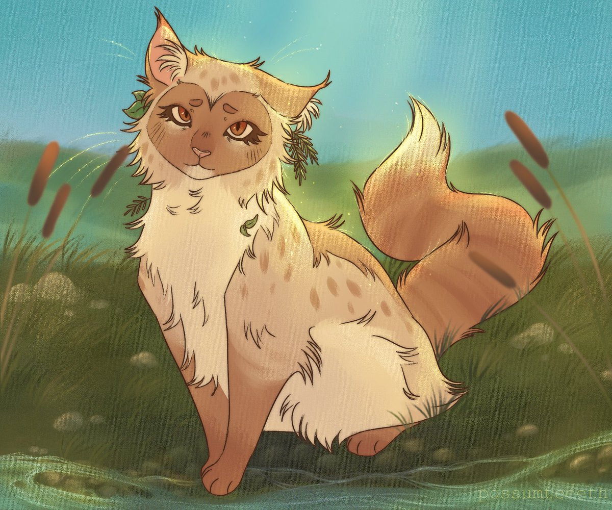 Warrior Cats Willowkit