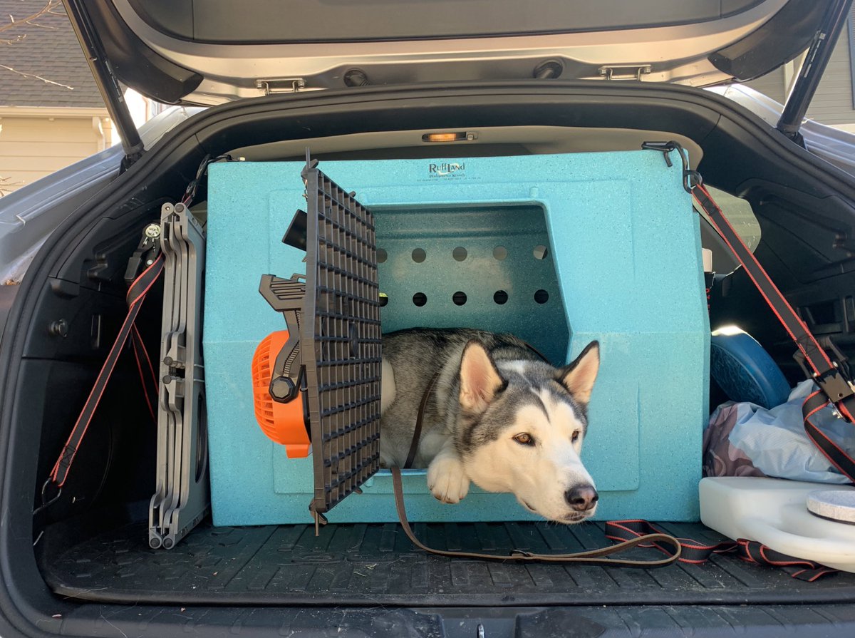 Advice for car kennel : r/dogs