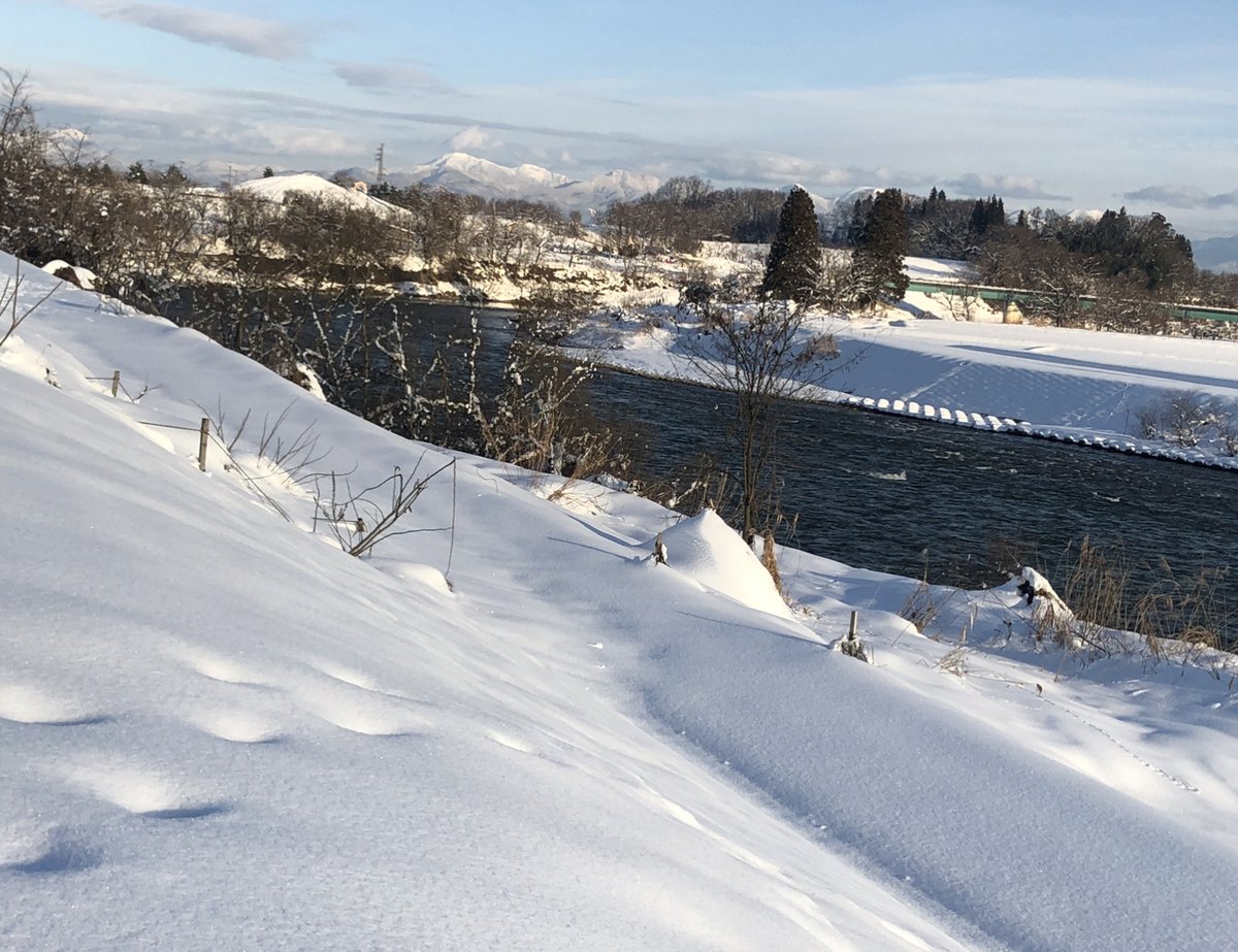 やんみー🍒食び人 (@yummy_tabibito) | Twitter