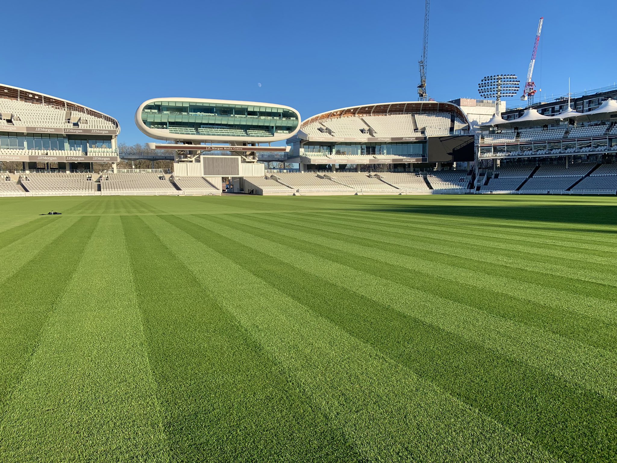 Cricket Ground Grass