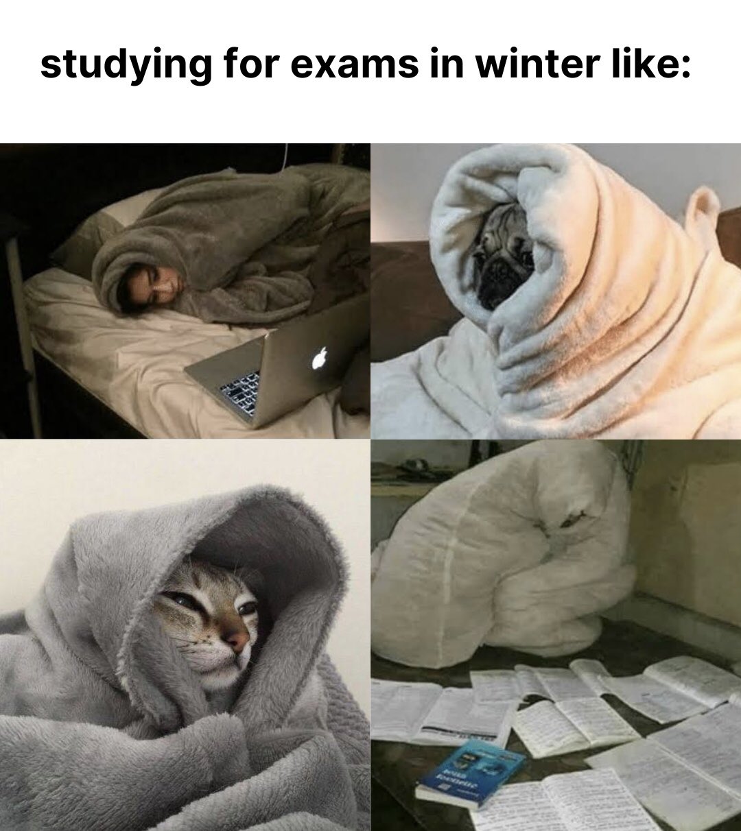 Cramming For Exams Meme