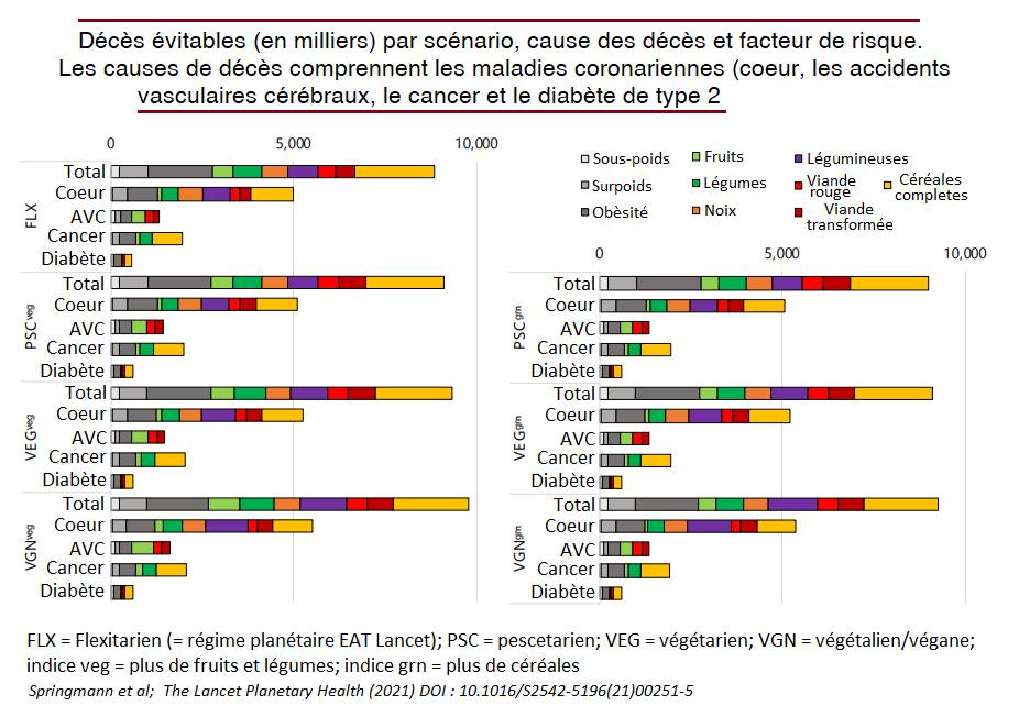 Veg_analytic's Threads – Thread Reader App