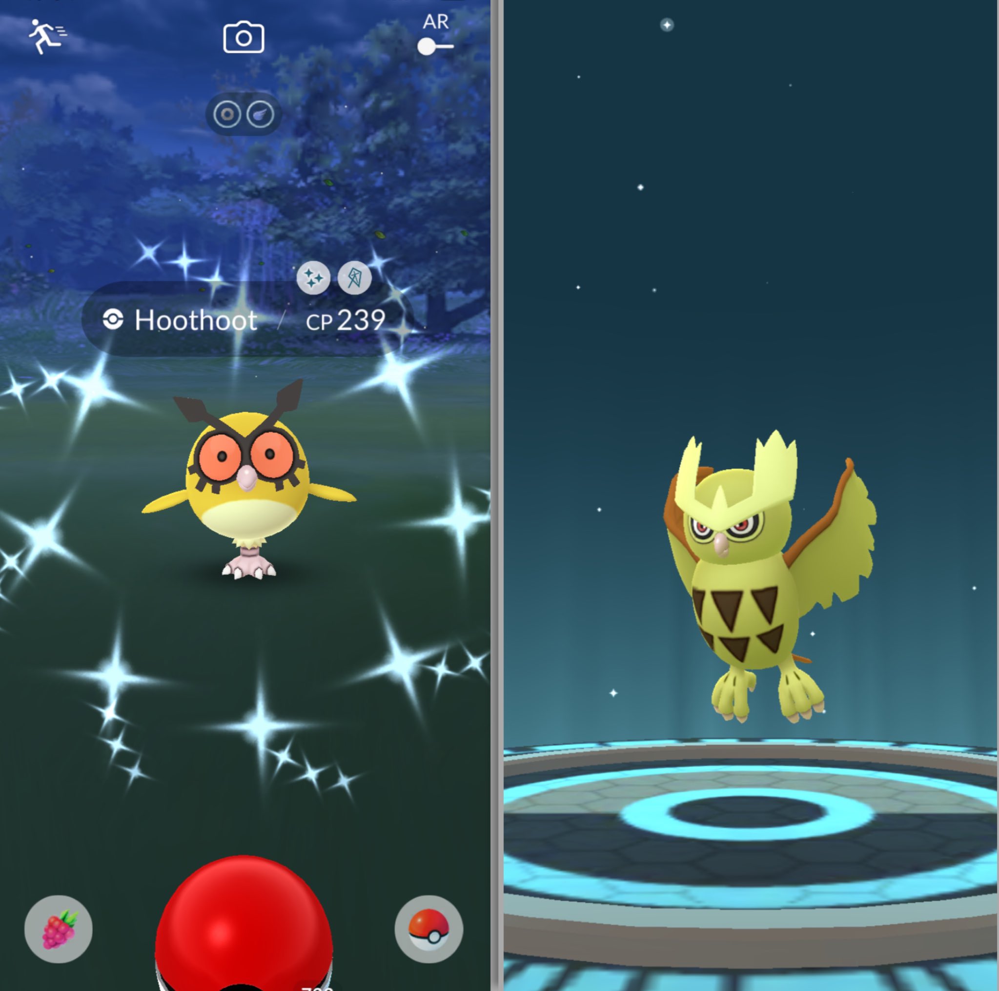 Hoothoot Pokemon Evolution