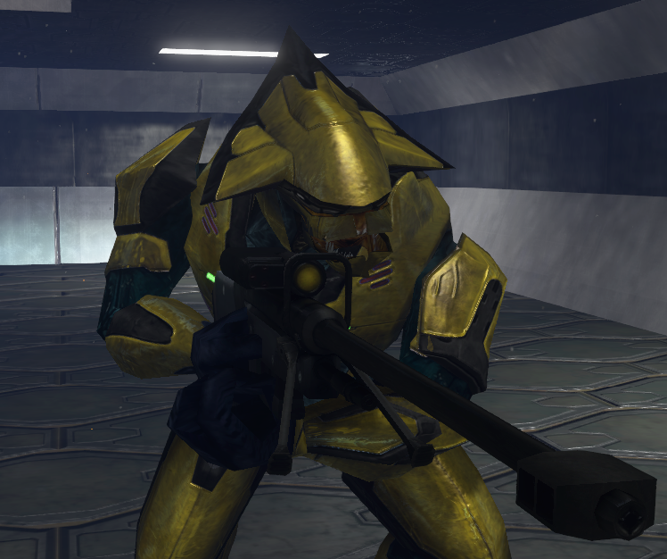 Halo Elite Without Helmet