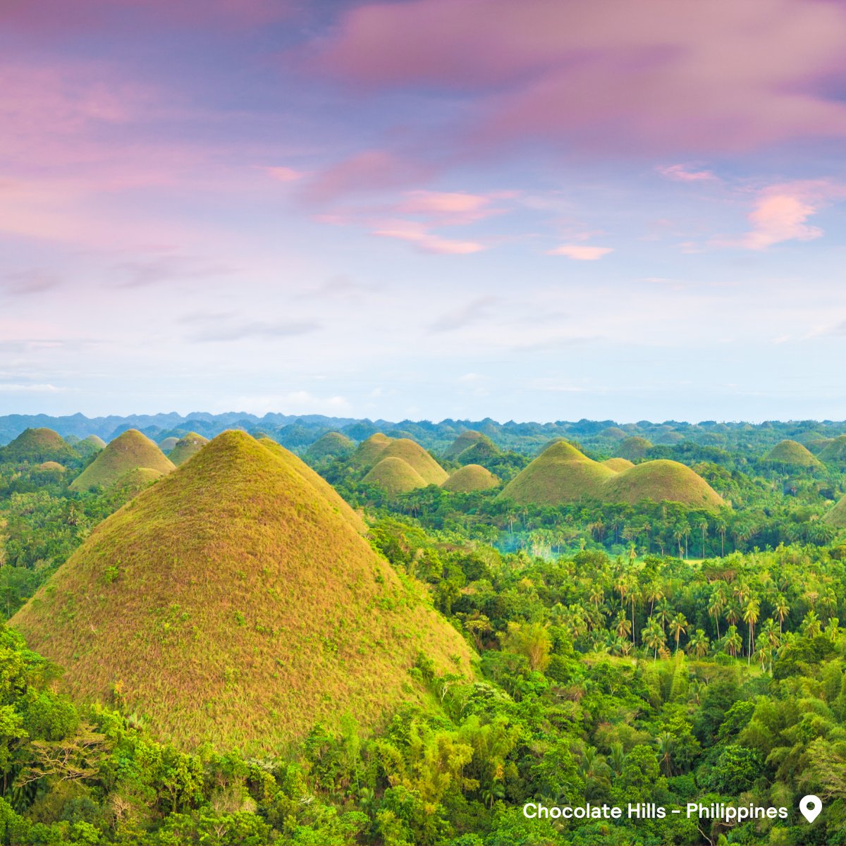 Chocolate Hills Wallpaper