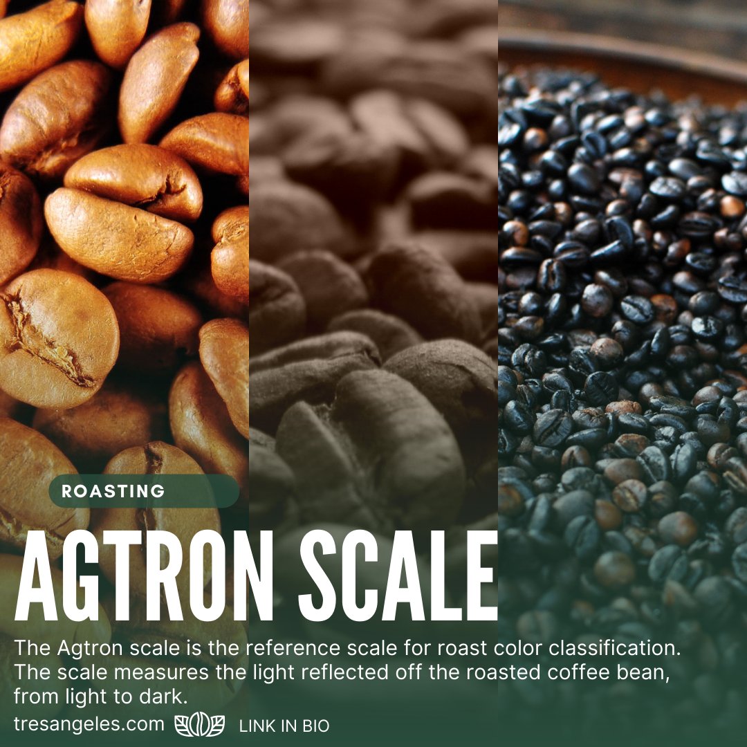 Agtron Coffee Scale