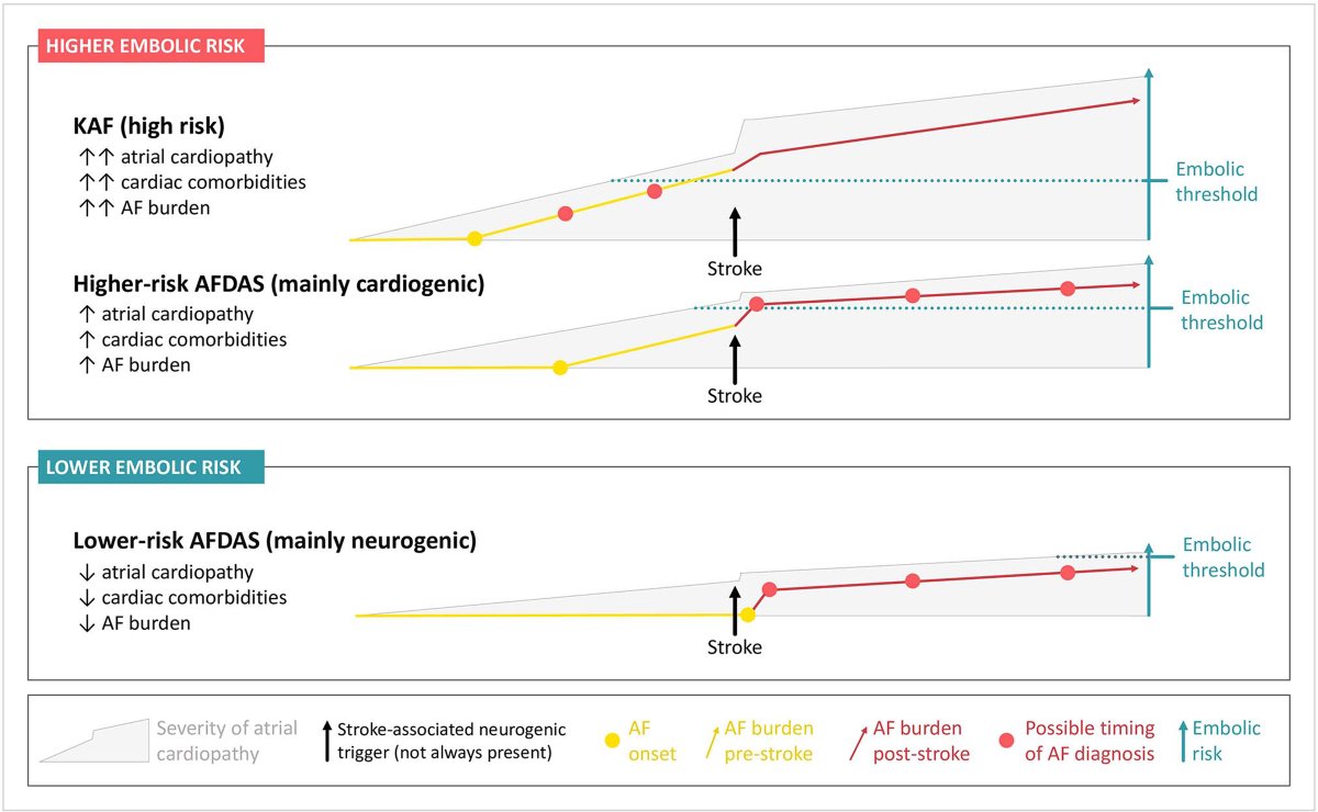 Atrial Fibrillation Detected After Stroke & TIA (AFDAS): A Novel ...