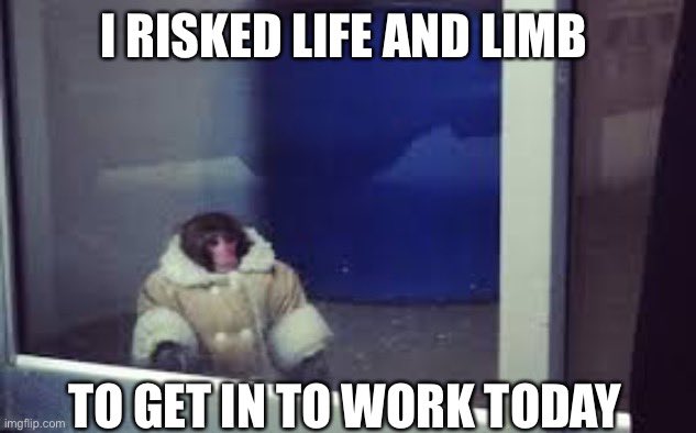 Snow Day Work Memes