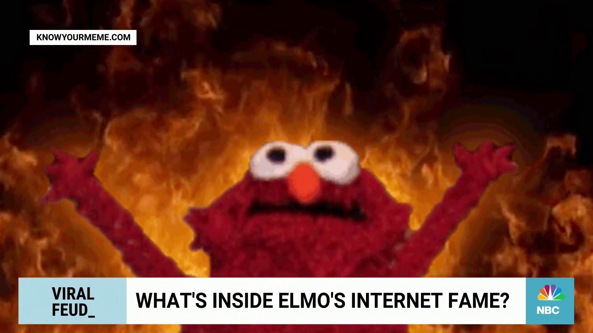 Meme Do Elmo Elmo Is A Good Decision Maker : R/memes