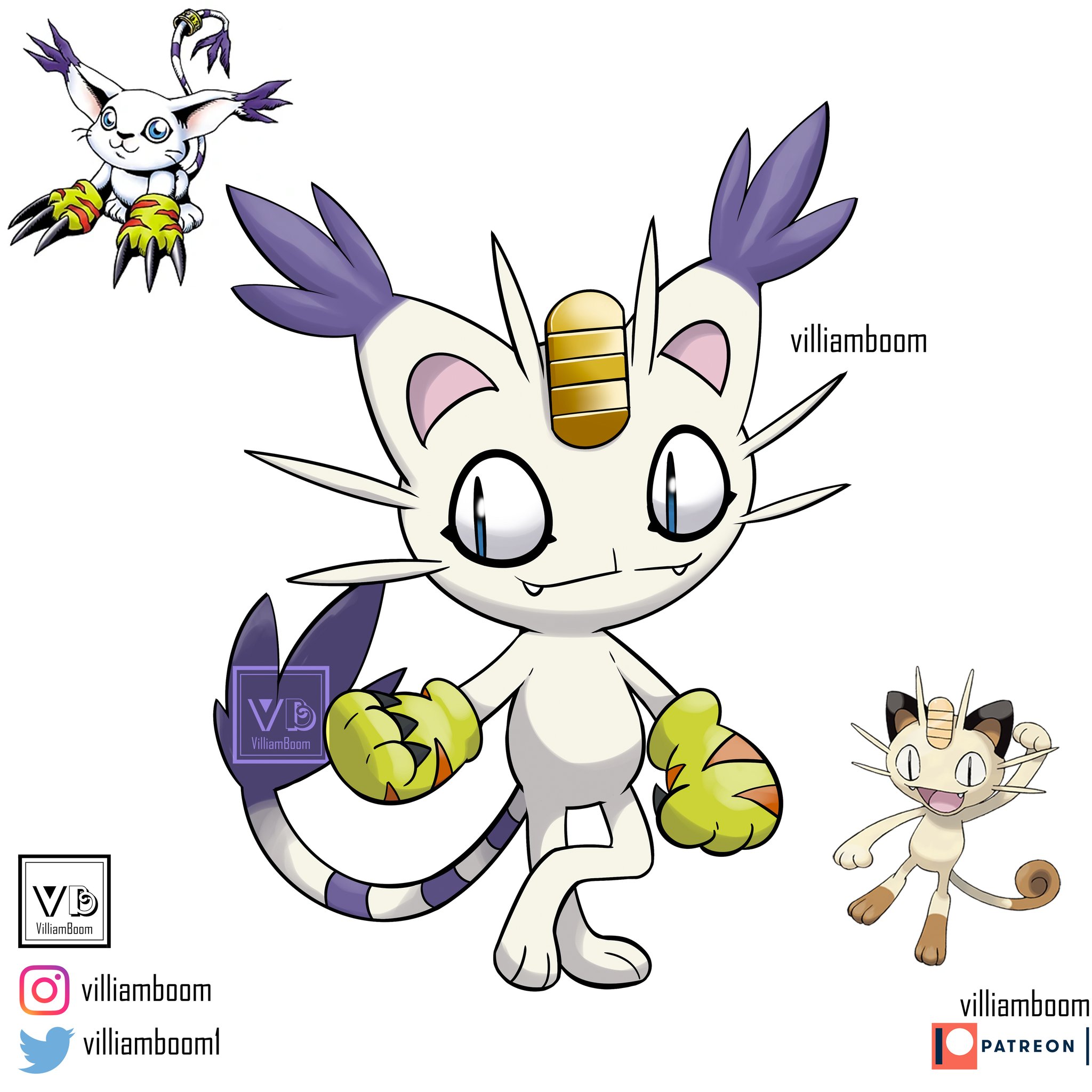 Meowth Evolution Level Meowth Pokemon Go